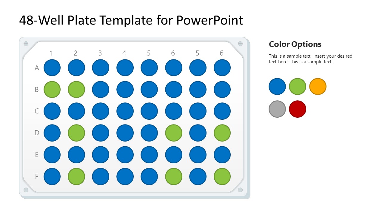48-Well Plate Template for PowerPoint