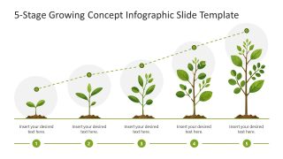 5-Stage Growing Concept PowerPoint Template