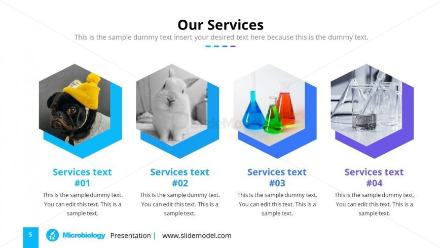 Microbiology Company Services PowerPoint Template - SlideModel Microbiology Company Services PowerPoint Template - SlideModel