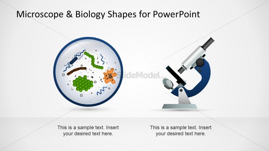 Ppt Unit 2 Cells Microscope Powerpoint Presentation PPT The Living