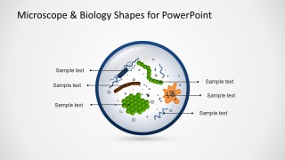 Microscope & Biology Shapes for PowerPoint - SlideModel