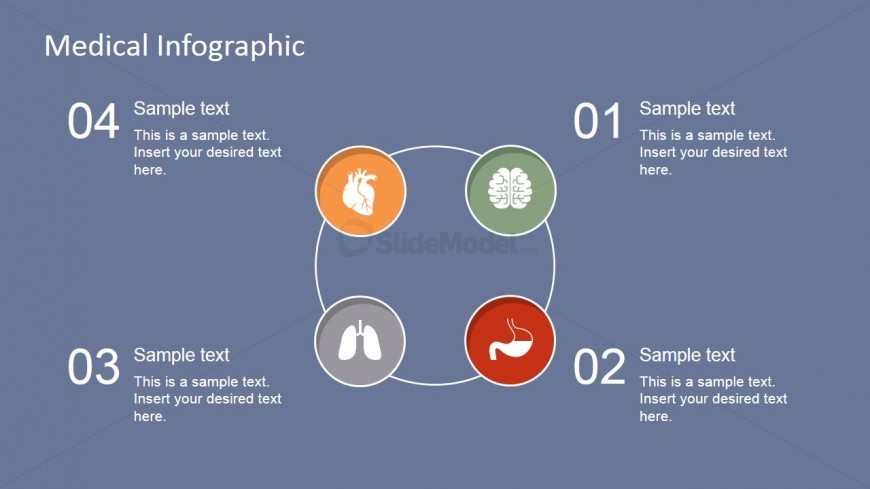 Medical Circular Diagram with Vital Organs - SlideModel