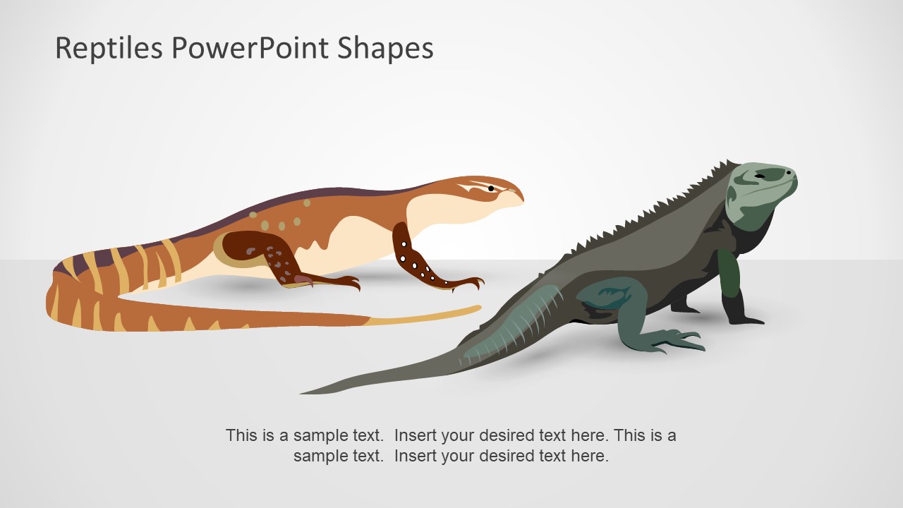 Domestic Pets PowerPoint Shapes - SlideModel